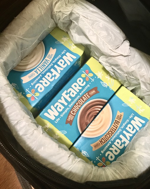 My Honest Review of WayFare Dairy Free Pudding – TheFrugalistaMom